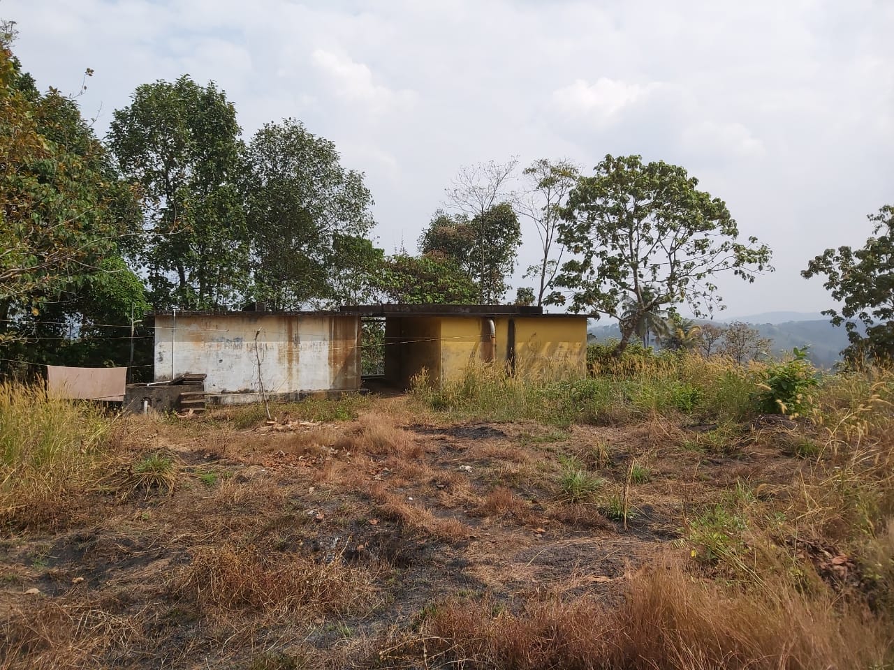 Home [ramamangalam.com]